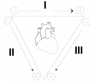 Cardiac Monitor - Protocopedia